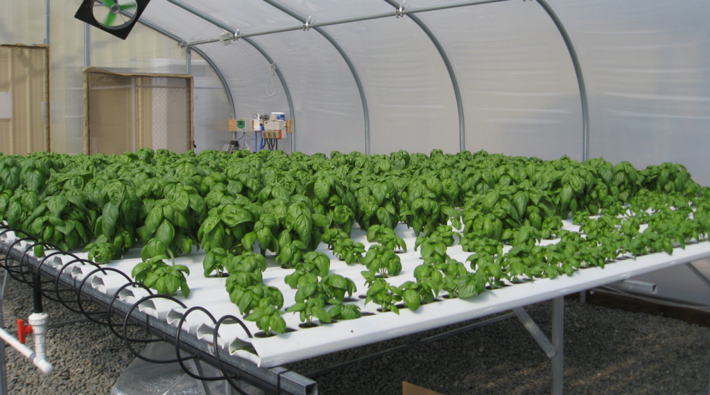 Commercial Hydroponics Equipment