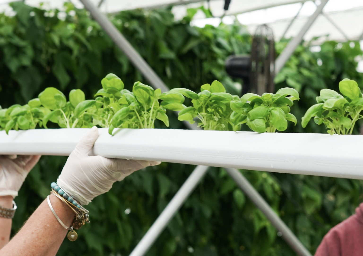 Hydroponics Products Overview - AmHydro