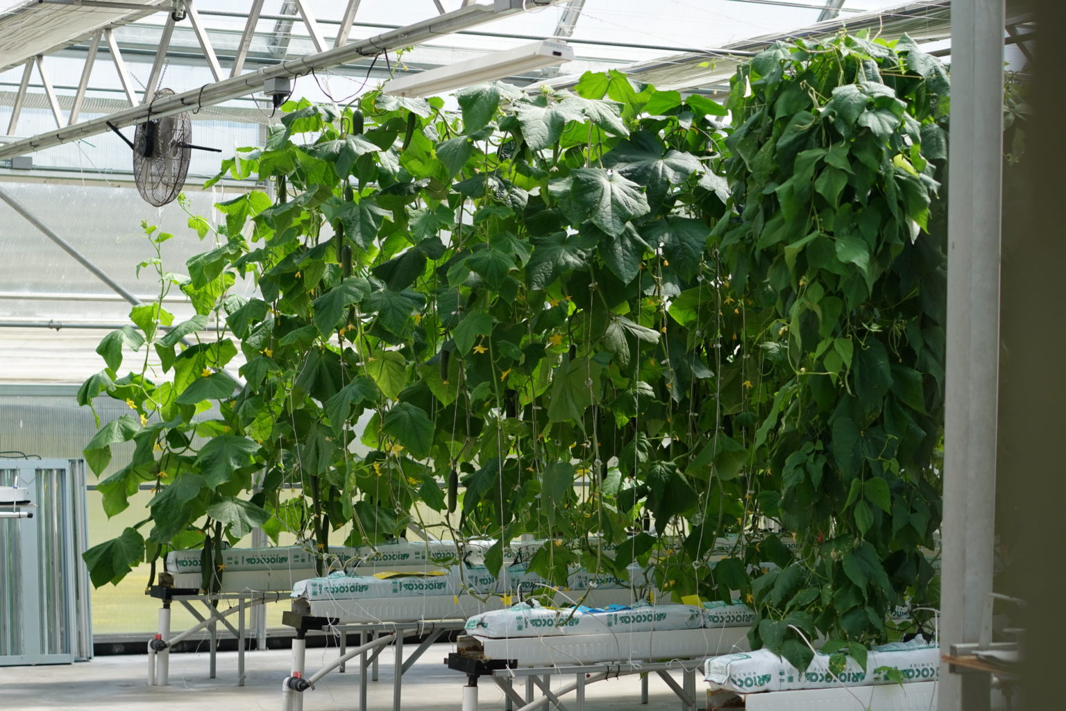 Hydroponics Products Overview - AmHydro