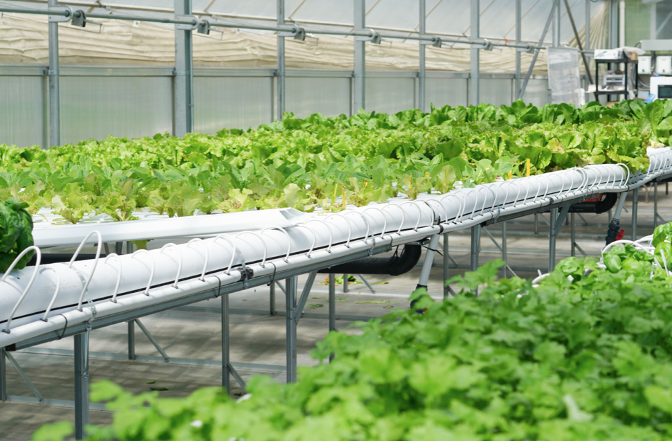 Joe Swartz: 7 reasons why 2024 is an ideal time to get into CEA - AmHydro